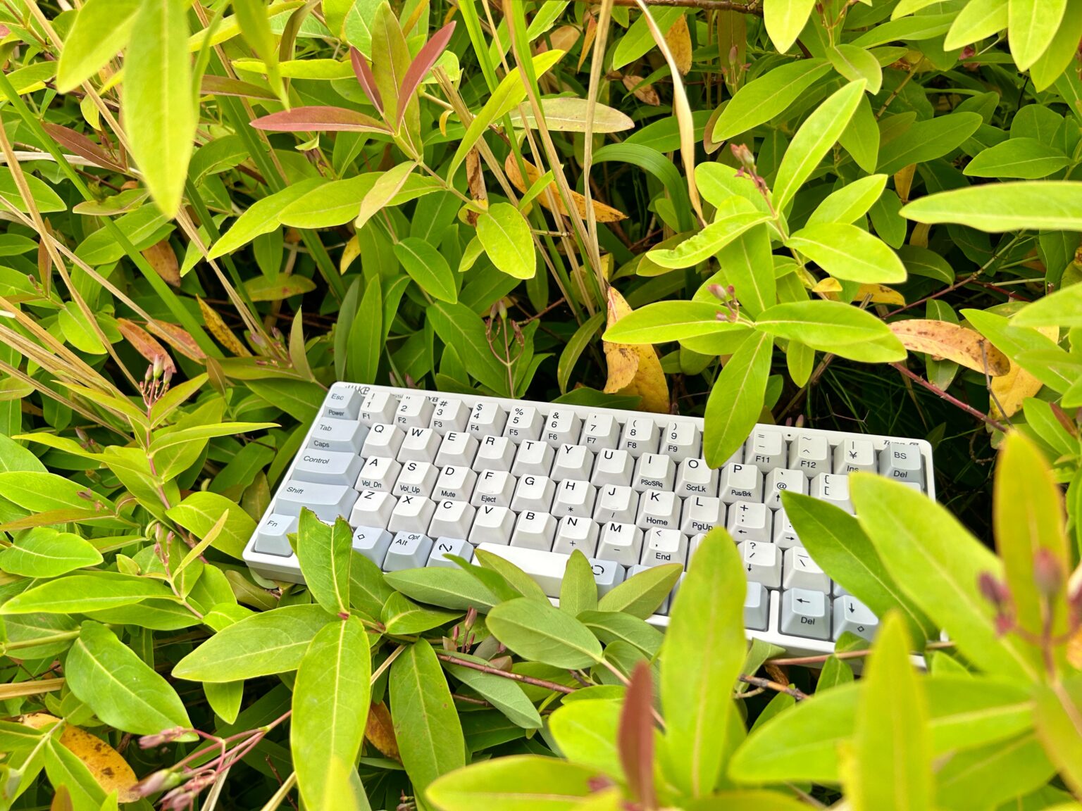 HHKBのキーボードの種類と違い、選び方を解説！購入前に必ず確認して、失敗をなくそう！