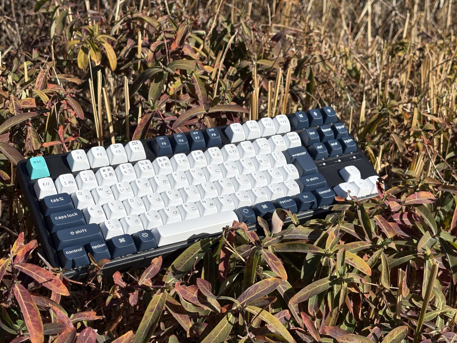 【徹底レビュー】Keychron C3 Pro：最安＆コスパ最強！日本語（JIS）＆ガスケットマウント搭載のメカニカルキーボード ...